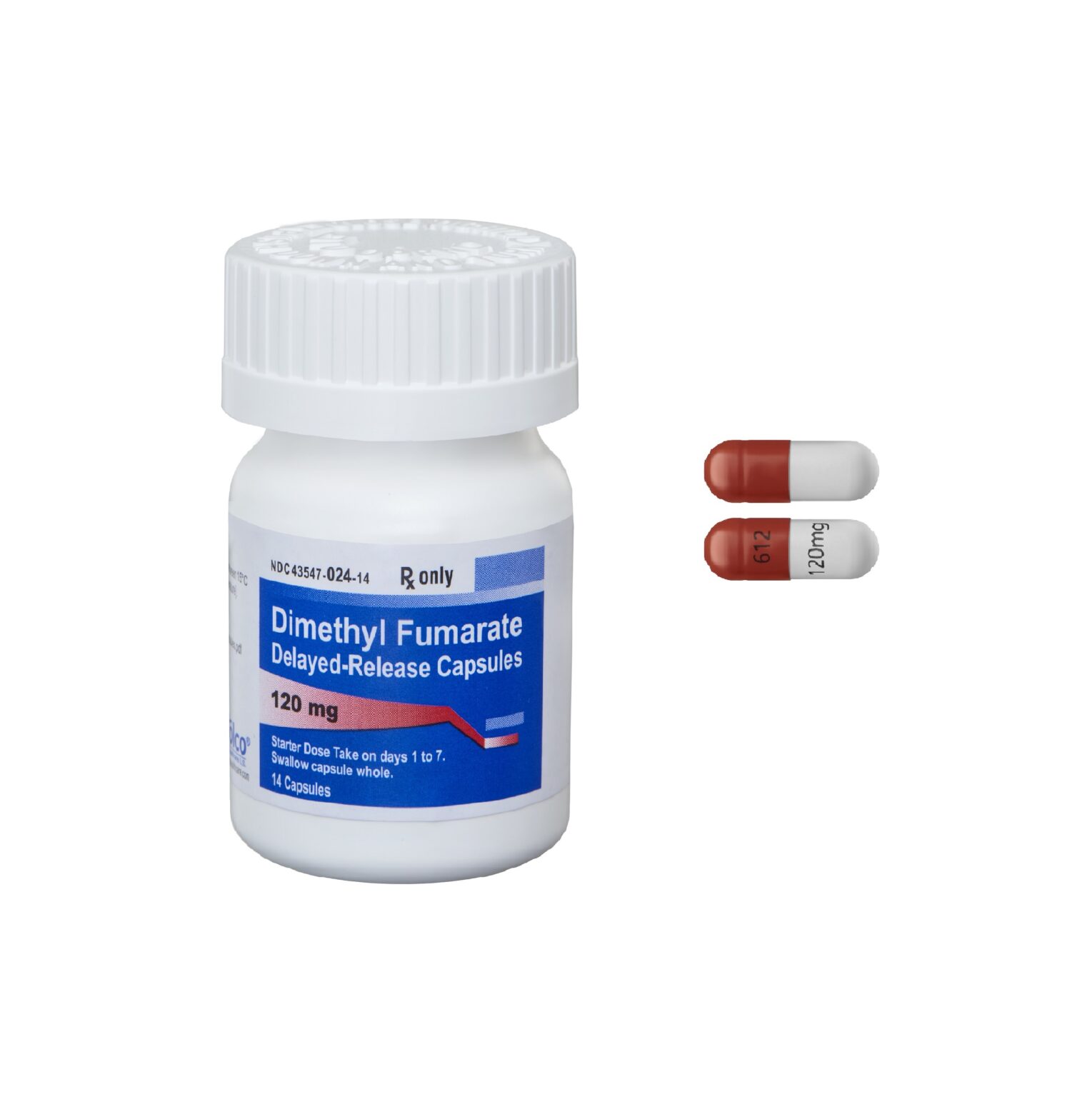 Dimethyl Fumarate DR Capsules – Solco Healthcare